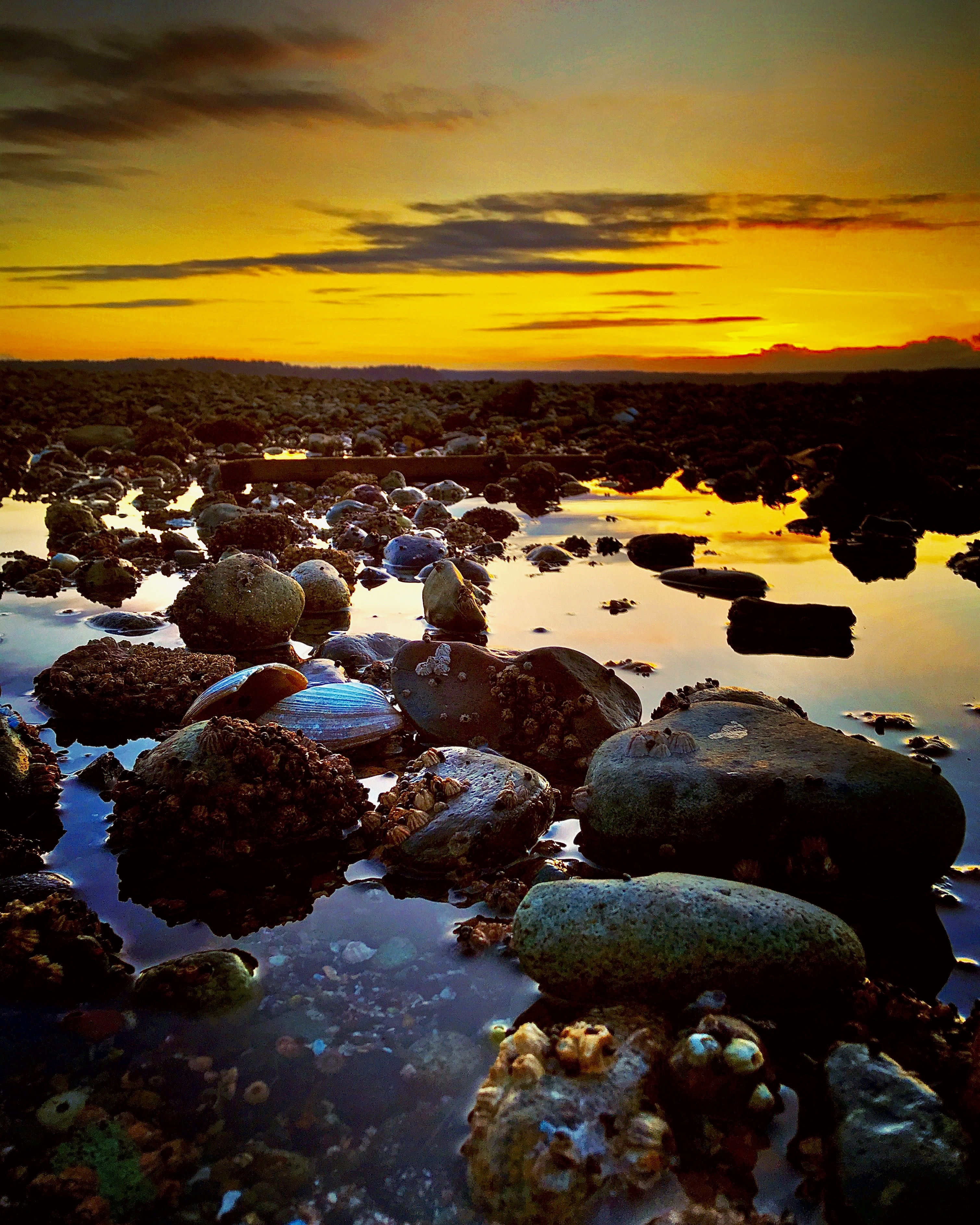 Sunset of the week 2-26-18 | Westside Seattle